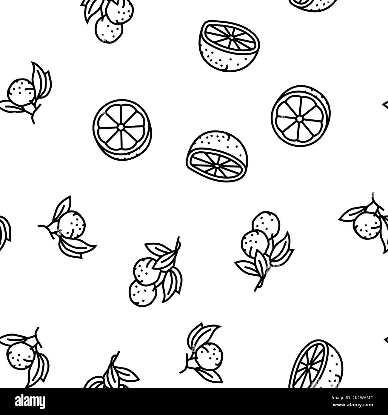 orange citrus fresh slice juice vector seamless pattern Stock Vector ...