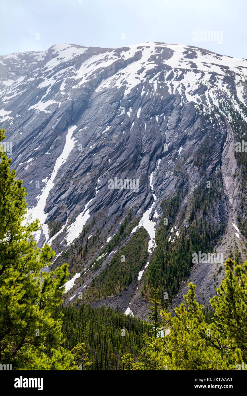 Mt. Saskatchewan; rocky cliff face; Bow River Valley; Banff National ...