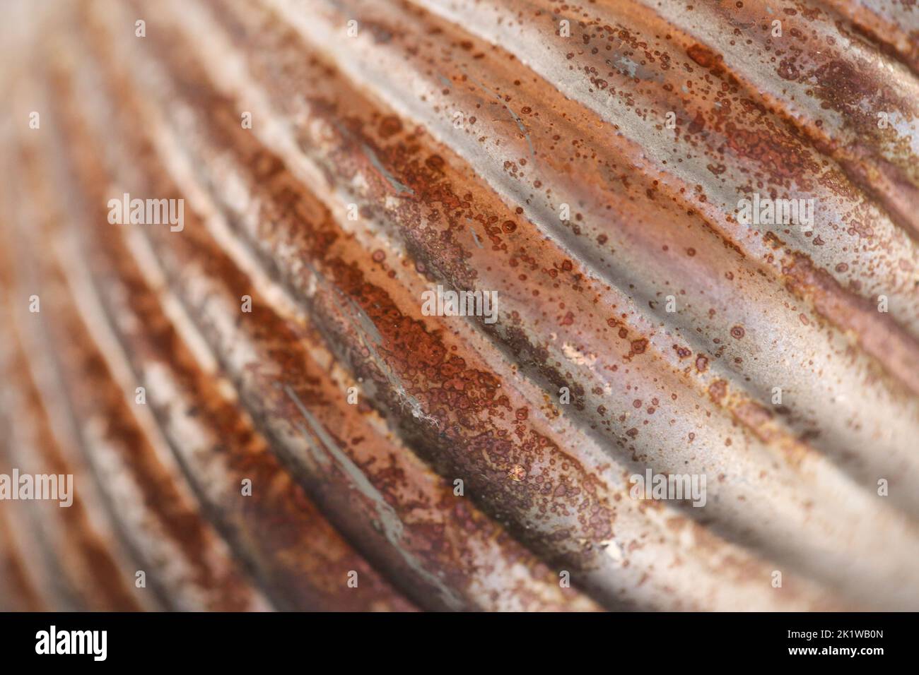 metallic wallpaper.Ribbed metal rusty surface.Ribbed shiny surface ...