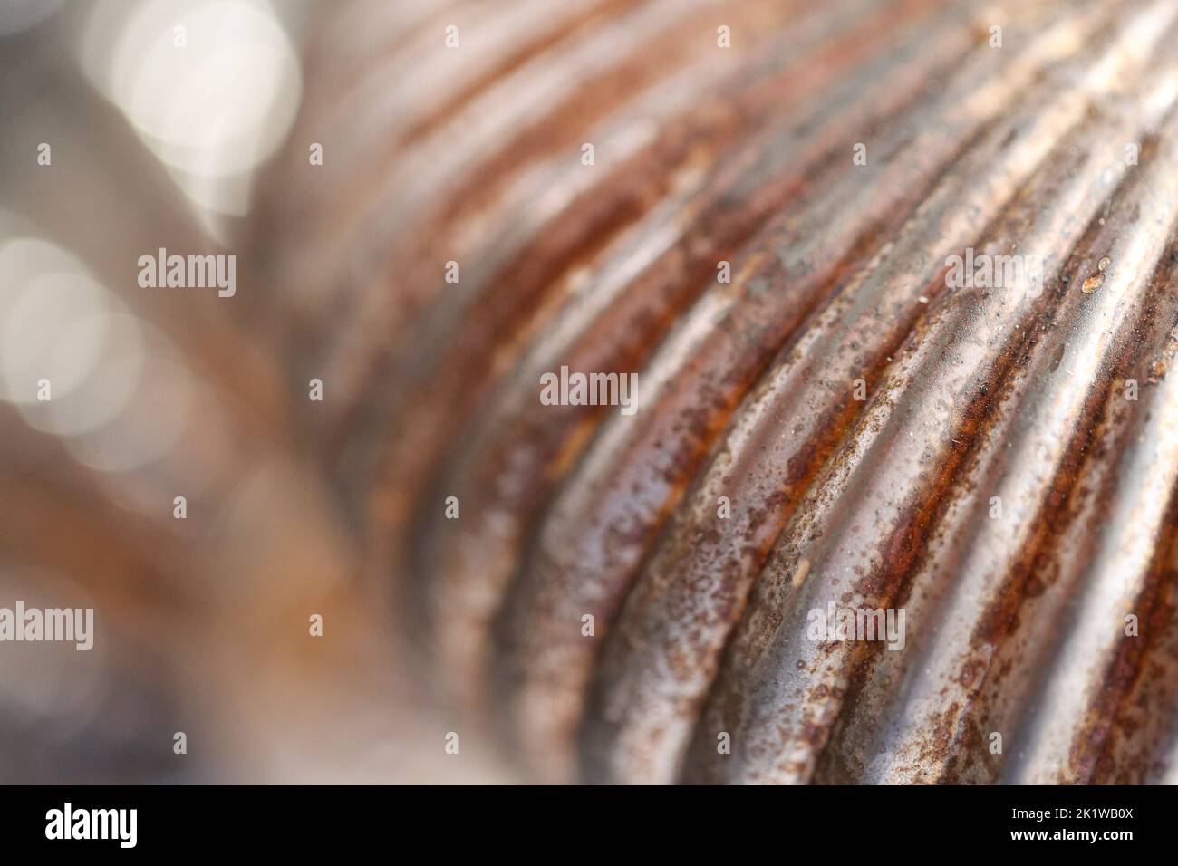 metallic rusty surface.Ribbed shiny surface.Shabby metal background ...