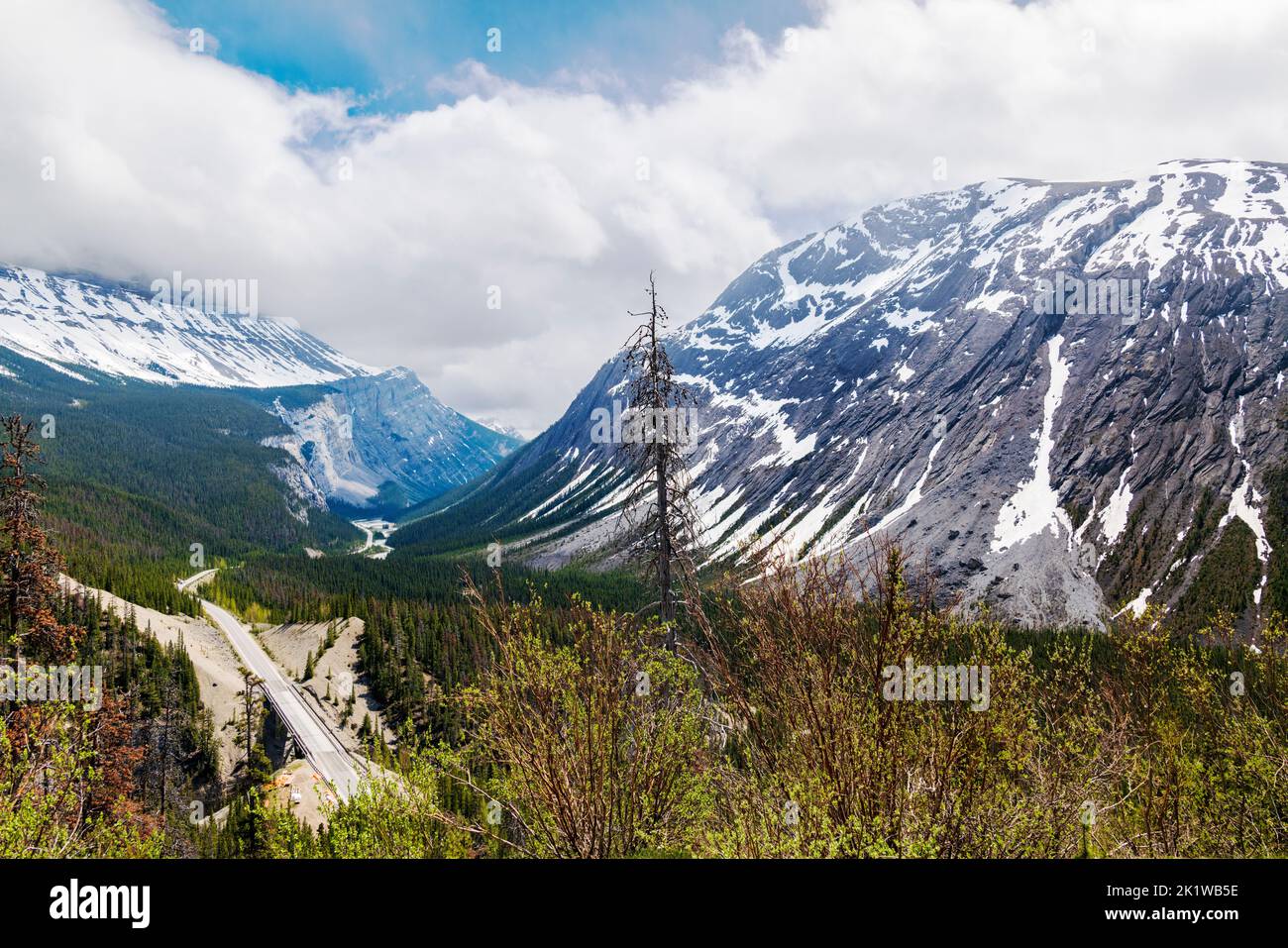 Bow river mountains parkway hi-res stock photography and images - Alamy