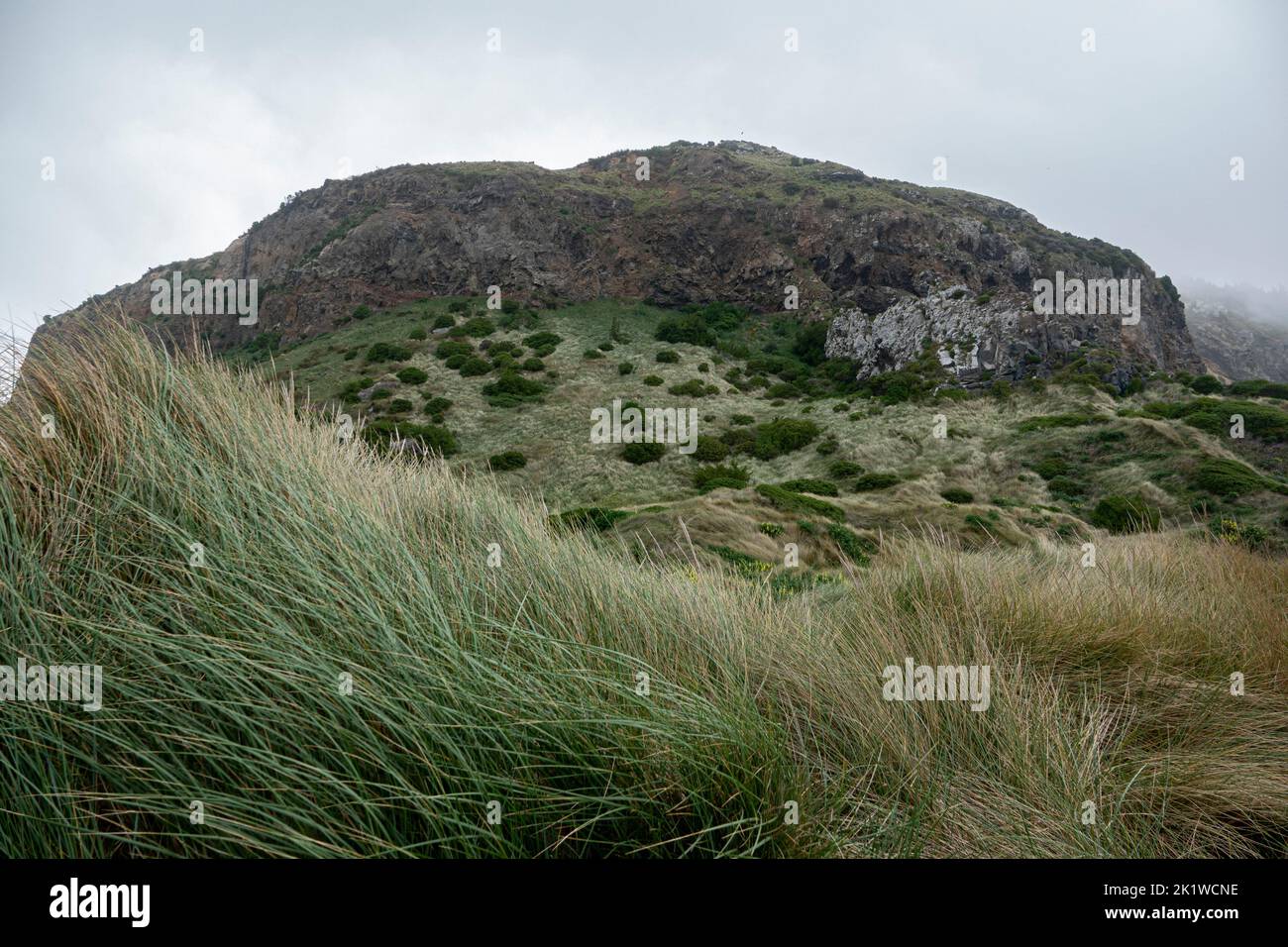 Aramoana hi-res stock photography and images - Alamy