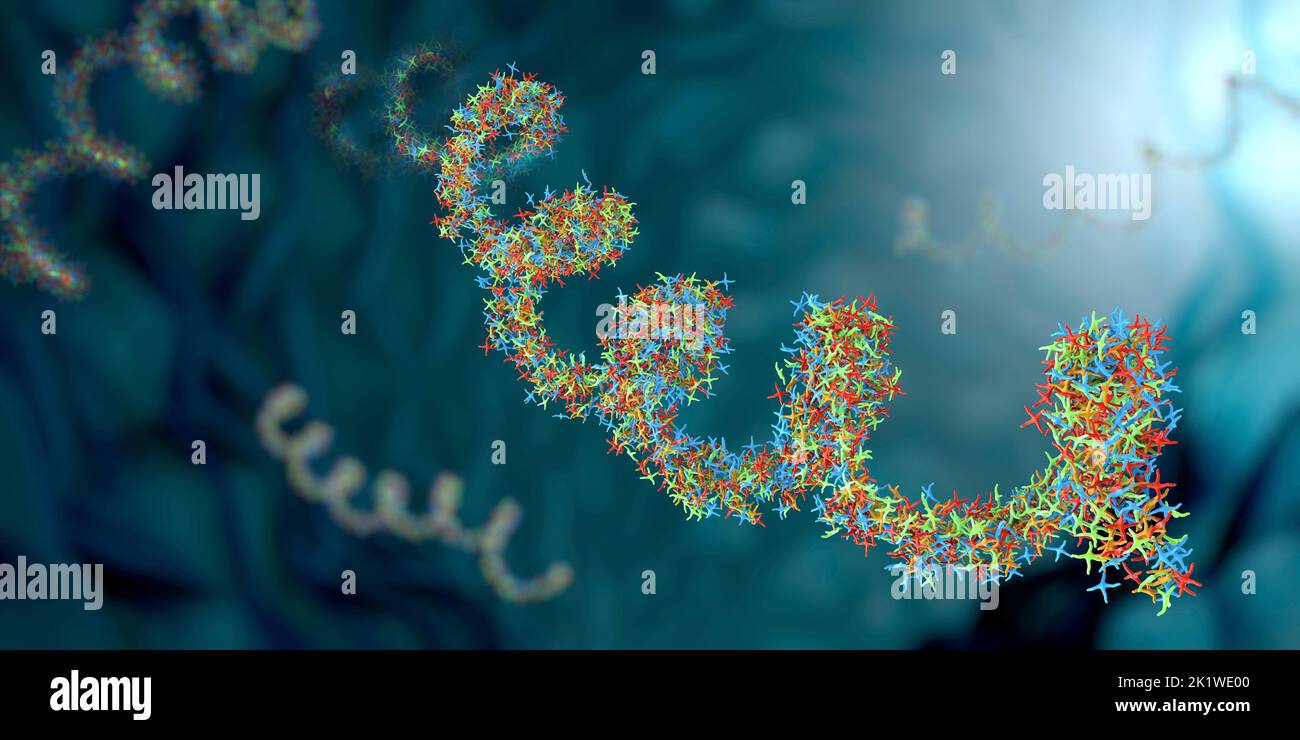 Ribonucleic acid strands, illustration Stock Photo - Alamy