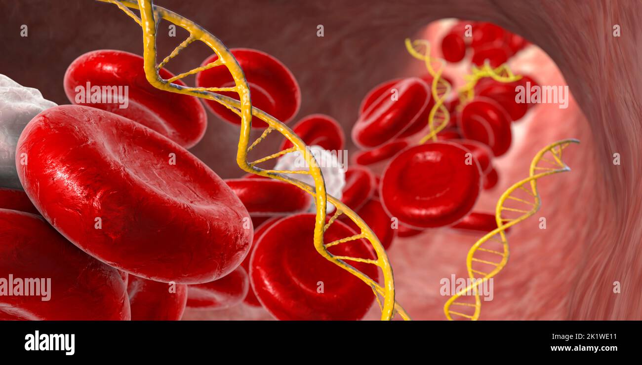 Cell free nucleic acids in human blood, illustration Stock Photo - Alamy