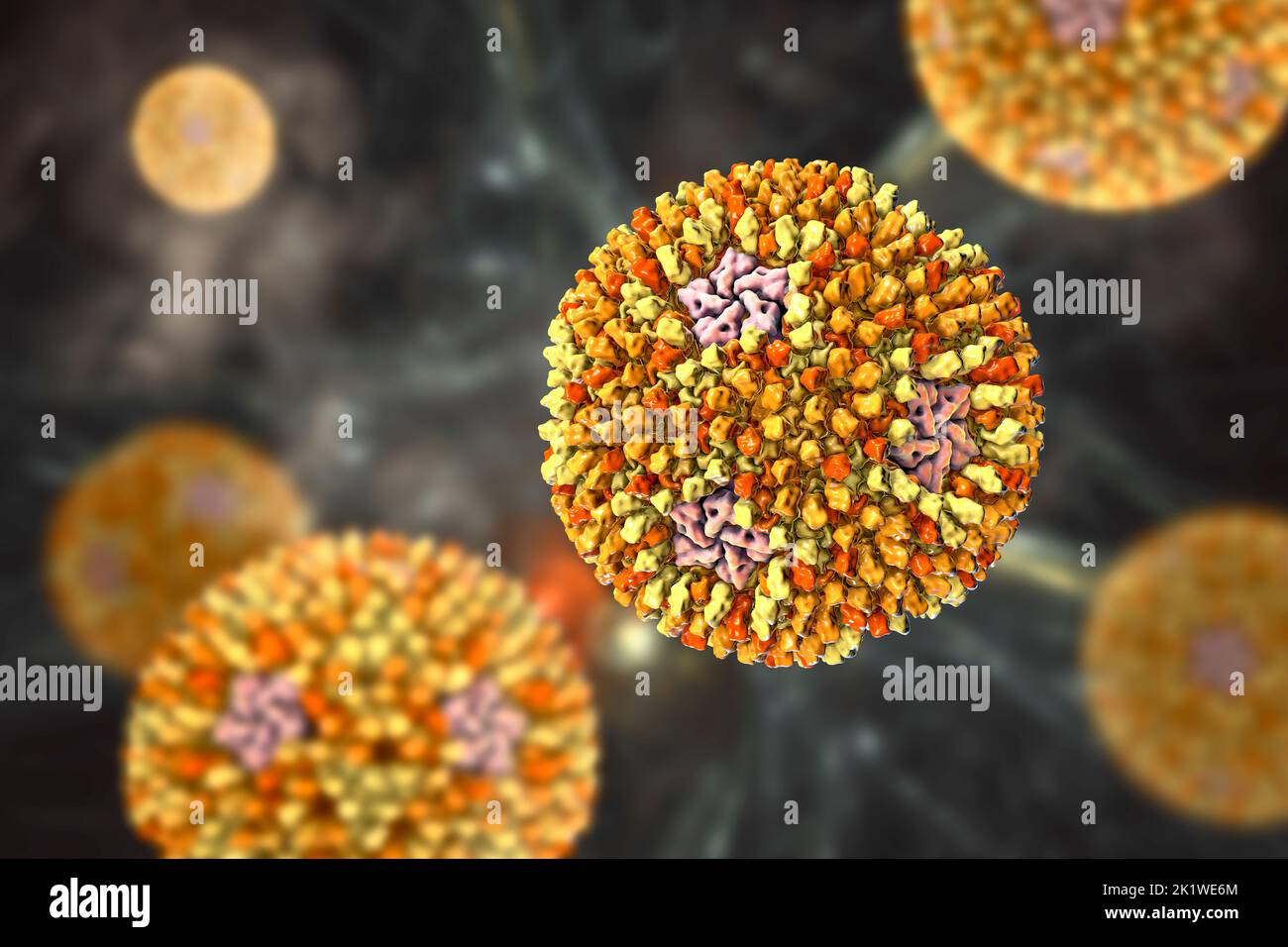 Reoviruses hi-res stock photography and images - Alamy