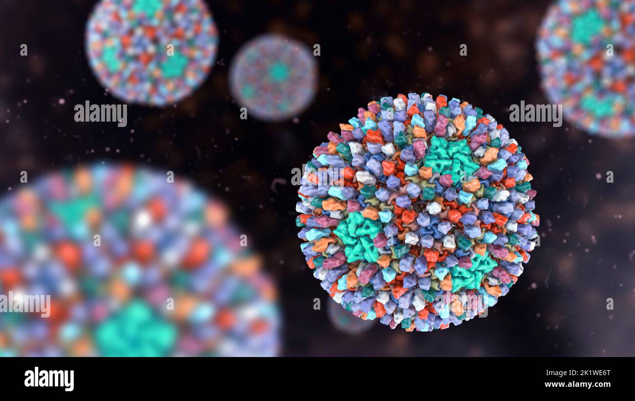 Reovirus hi-res stock photography and images - Alamy