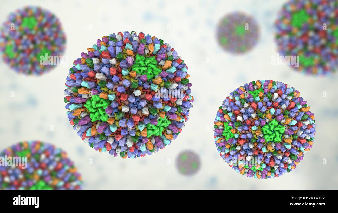 Reovirus hi-res stock photography and images - Alamy