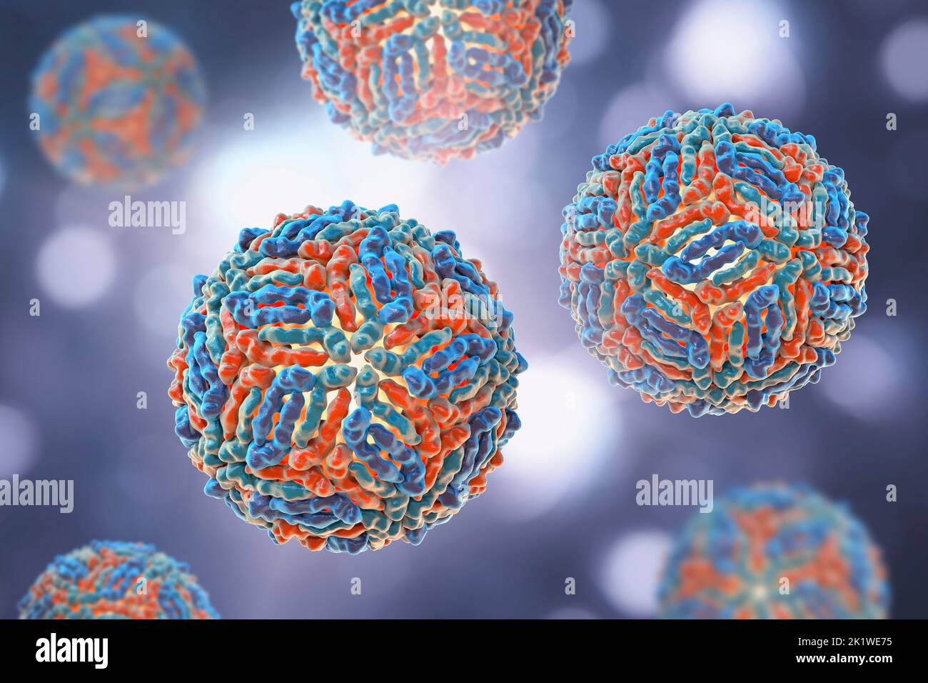 West Nile virus particles, illustration Stock Photo - Alamy