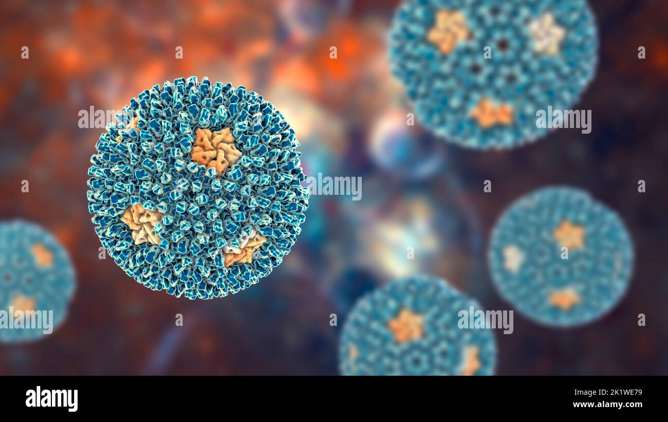 Reoviruses hi-res stock photography and images - Alamy