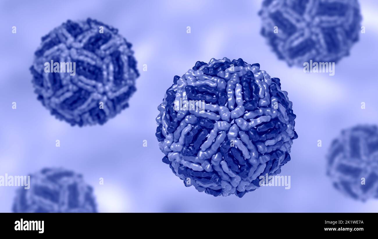 West Nile virus particles, illustration Stock Photo - Alamy