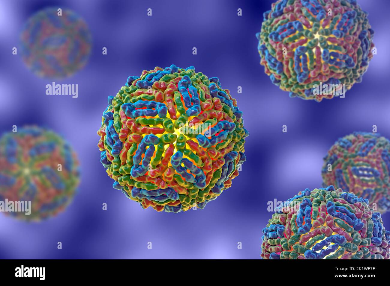 West Nile virus particles, illustration Stock Photo - Alamy