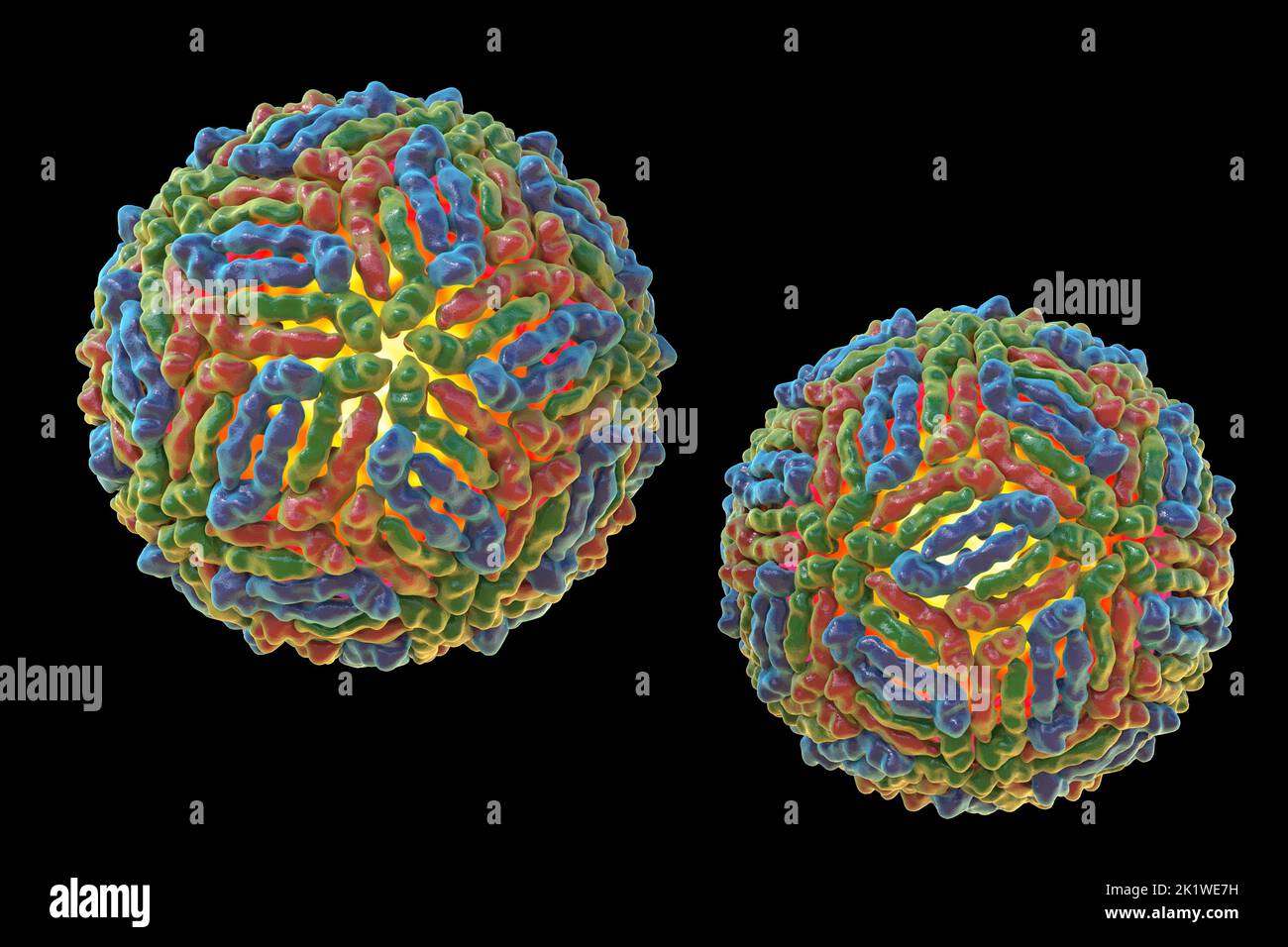 West Nile virus particles, illustration Stock Photo - Alamy
