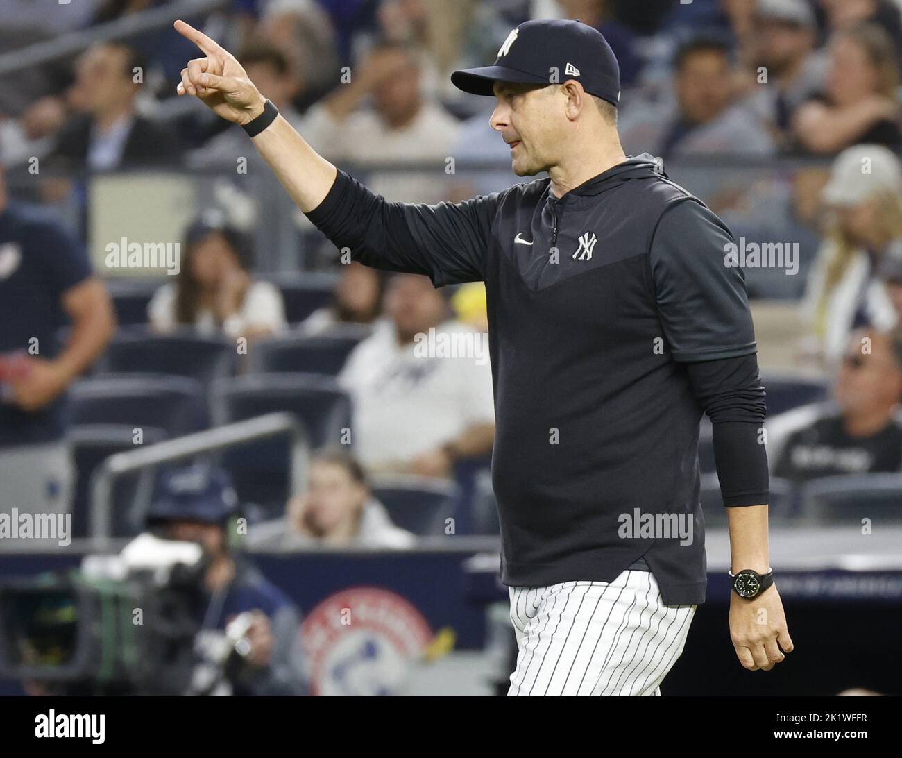 Bull pen hi-res stock photography and images - Alamy