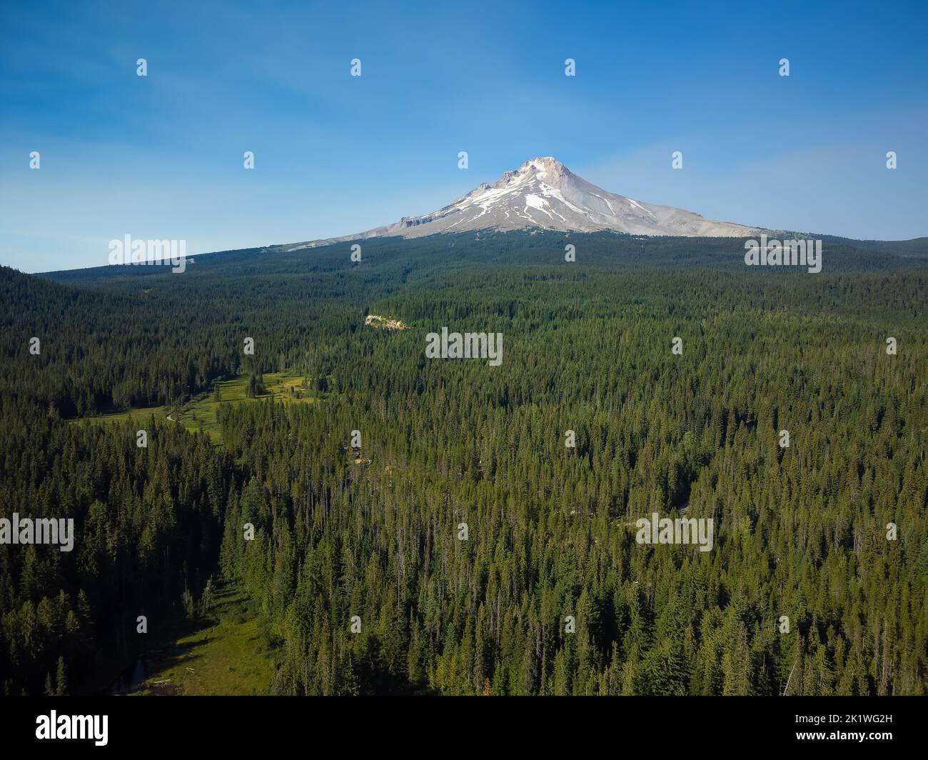 Nice panoramic shot. A green hilly meadow overgrown with tall green ...