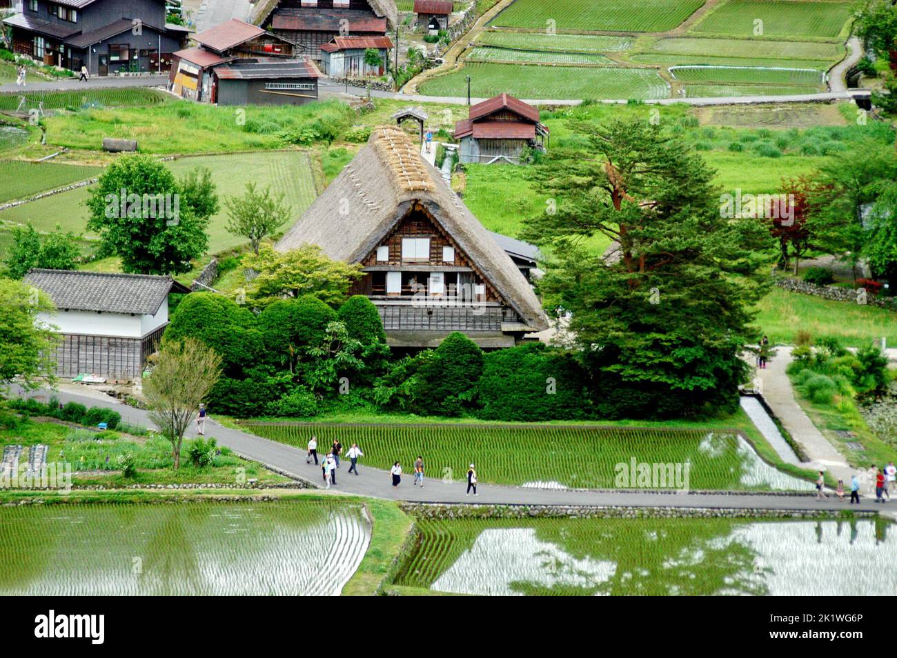 Potrait of gassho-zukuri grass-roof house of Shirakawa-go at Gifu ...