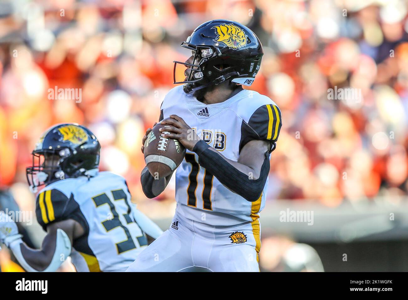 Stillwater, OK, USA. 17th Sep, 2022. Arkansas Pine Bluff quarterback ...