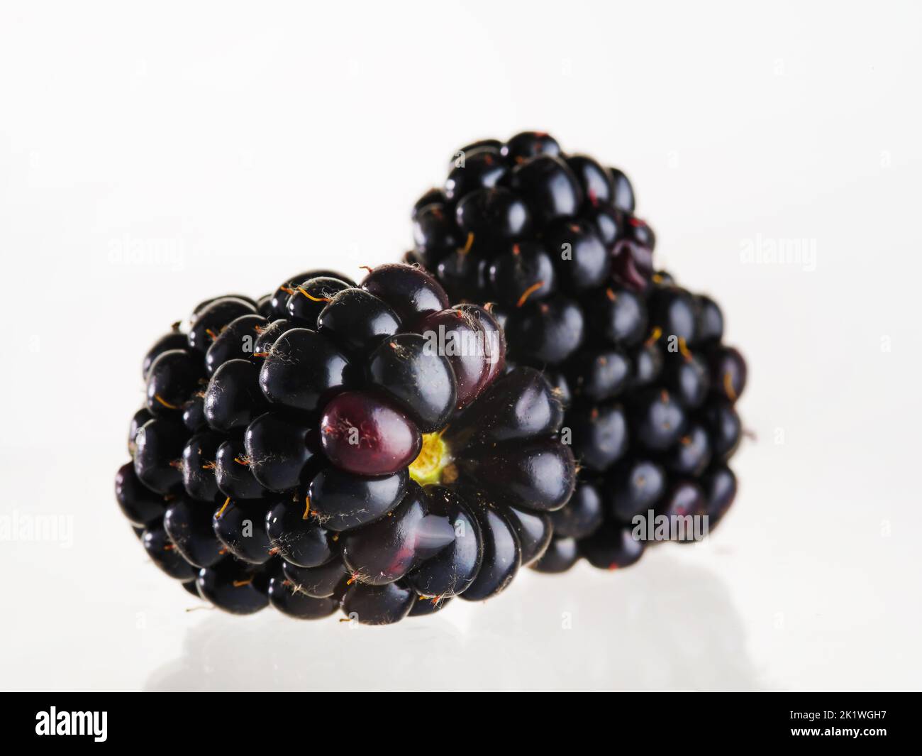 Two ripe blackberries. Isolated on white background. Harvest, farming ...