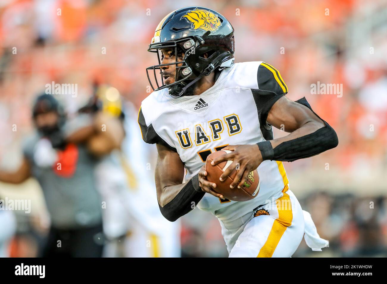 Skyler gray hi-res stock photography and images - Alamy