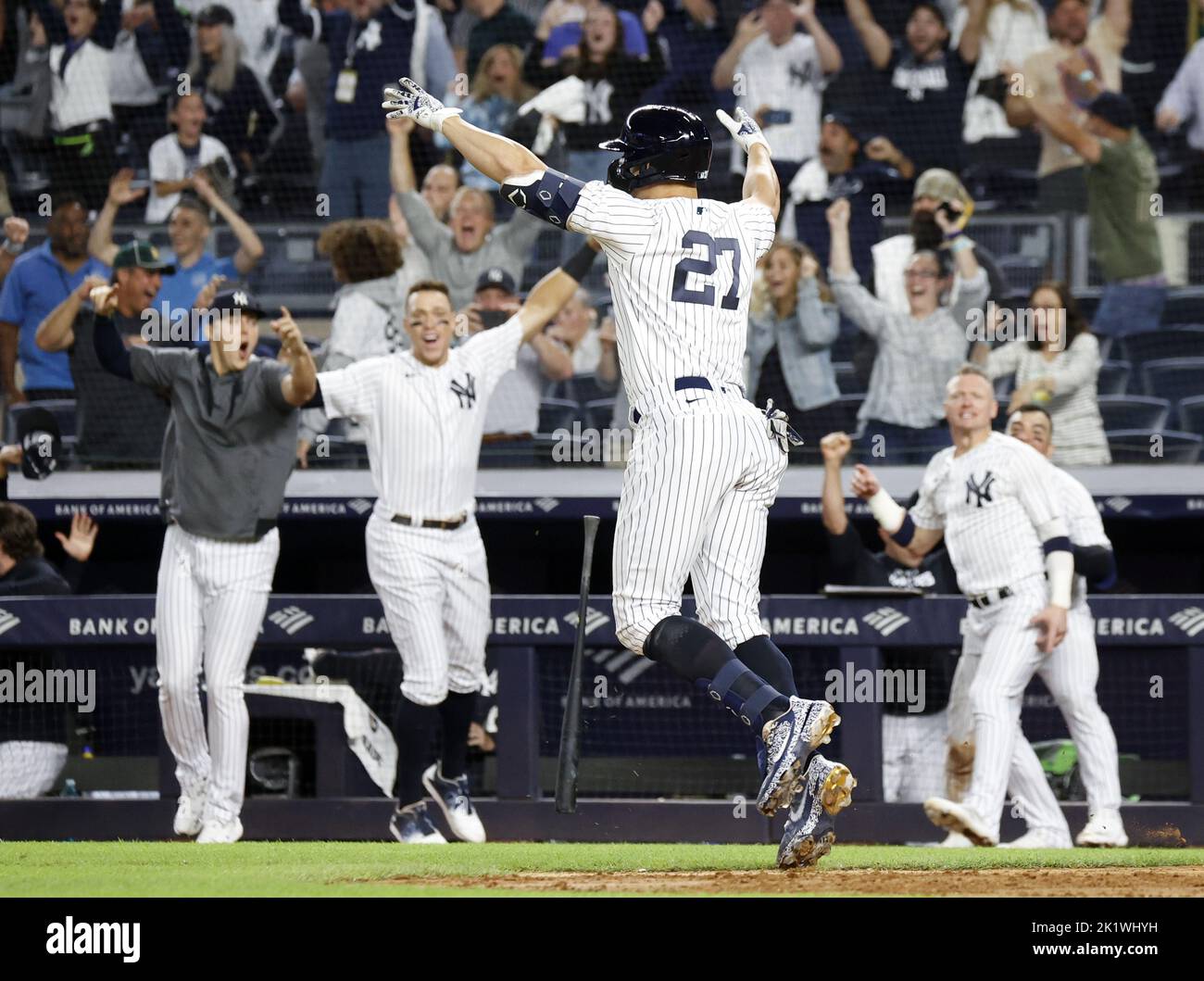 New York Yankees Aaron Judge and teammates celebrate with Giancarlo ...