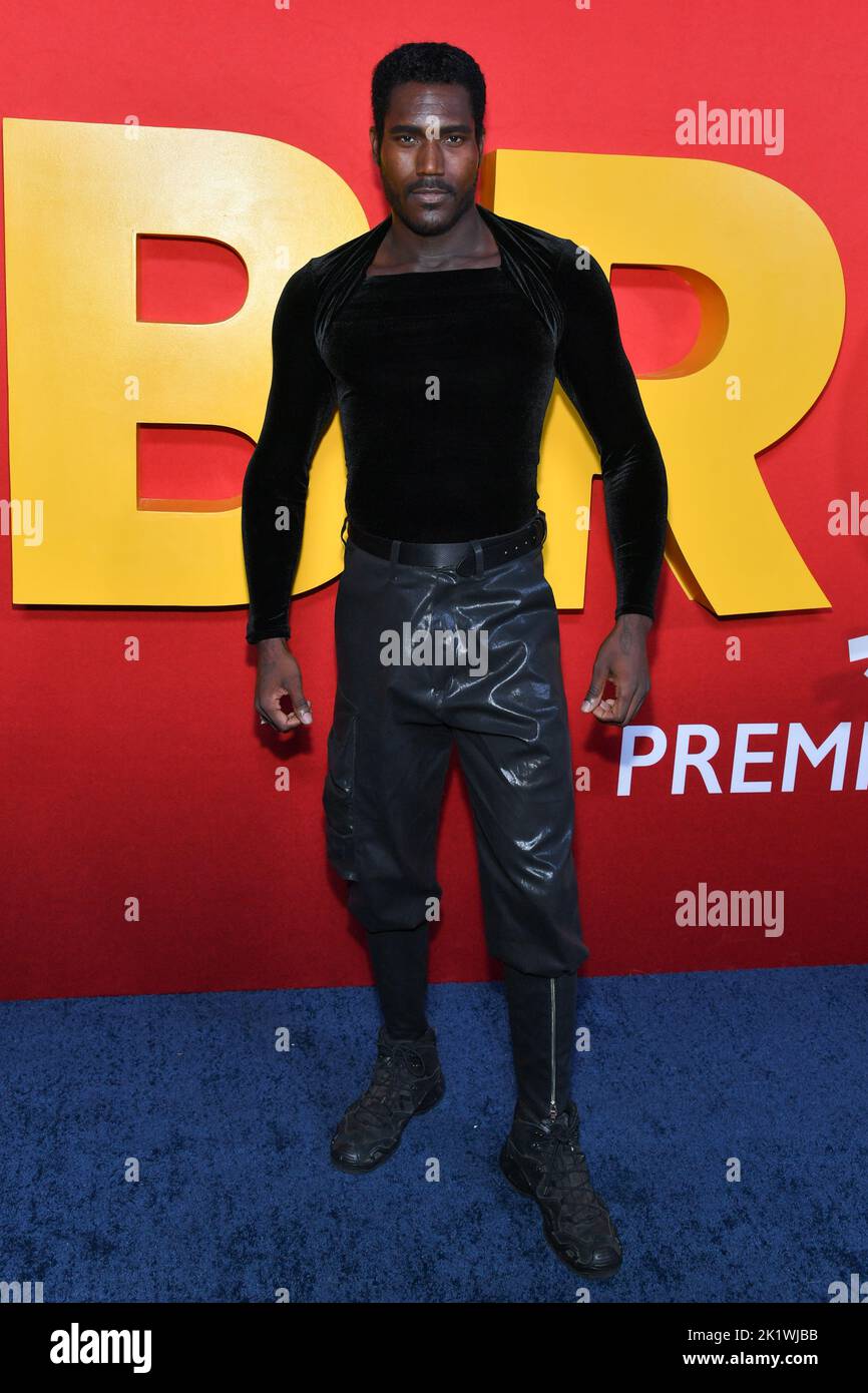 Boy Radio attends the premiere of Universal Pictures's "Bros" at AMC ...