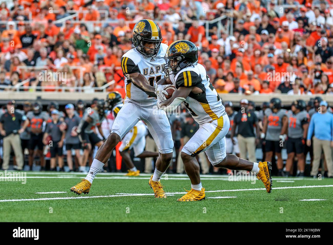 Stillwater, OK, USA. 17th Sep, 2022. Arkansas Pine Bluff quarterback ...