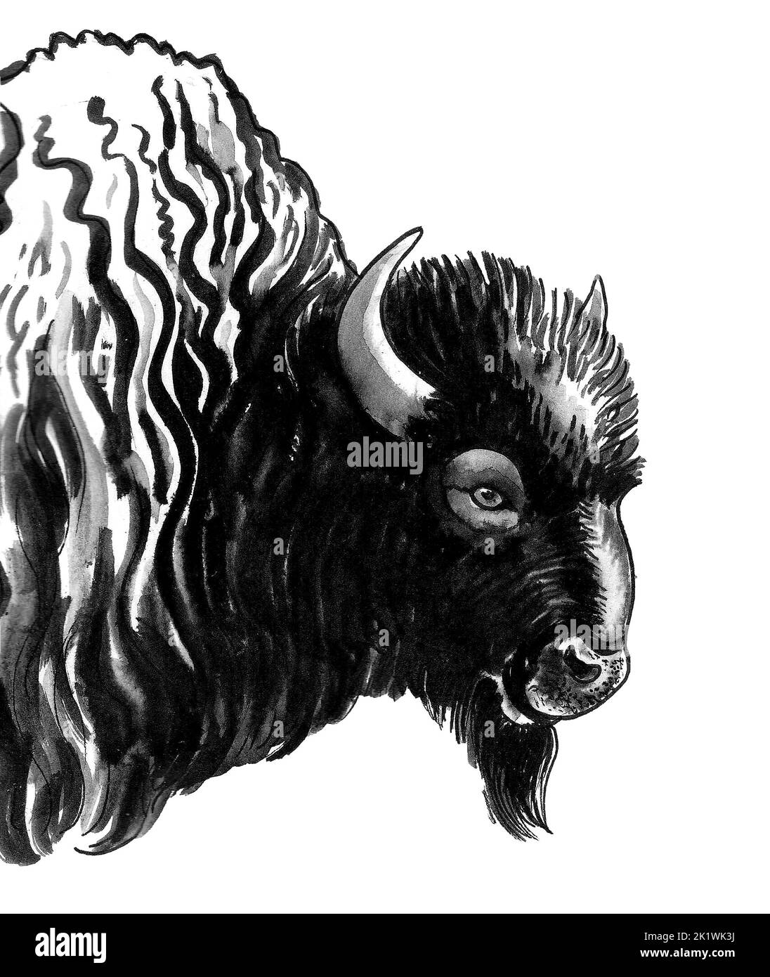 Bison bull head. Ink black and white drawing Stock Photo - Alamy
