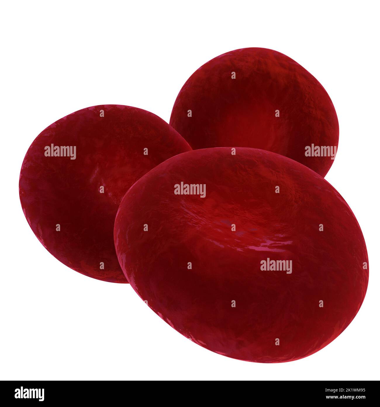 Red blood cells, illustration Stock Photo - Alamy