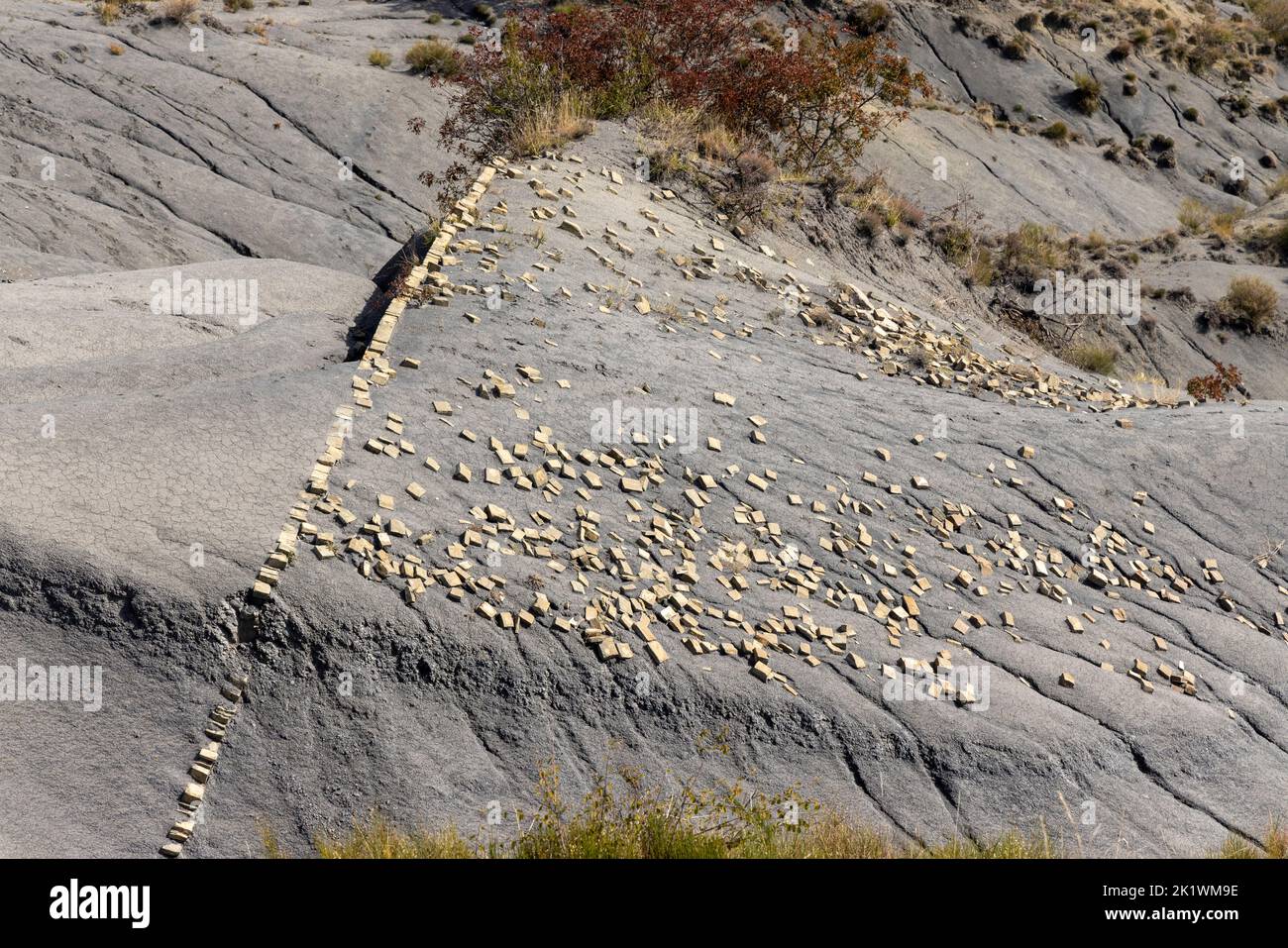Marly limestone in Albian blue marls of Sisteron, France Stock Photo ...