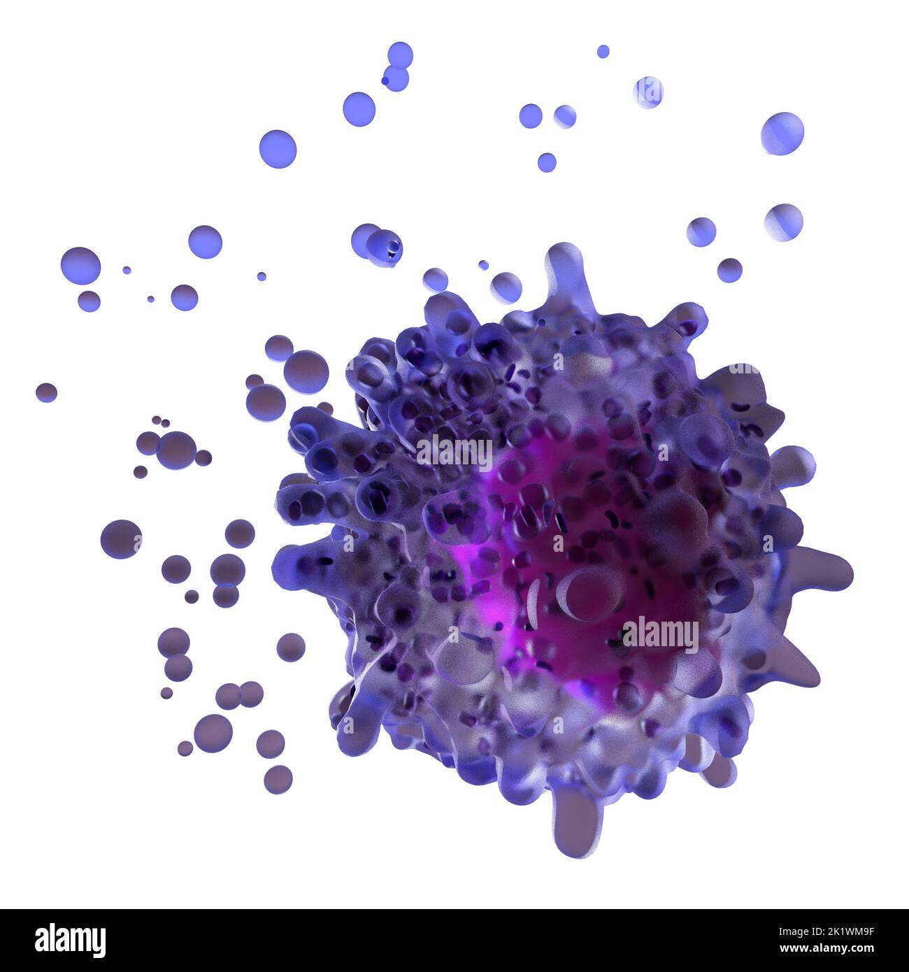 Apoptotic megakaryocyte, illustration Stock Photo - Alamy
