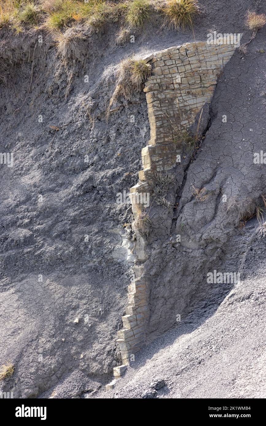 Marly limestone in Albian blue marls of Sisteron, France Stock Photo ...
