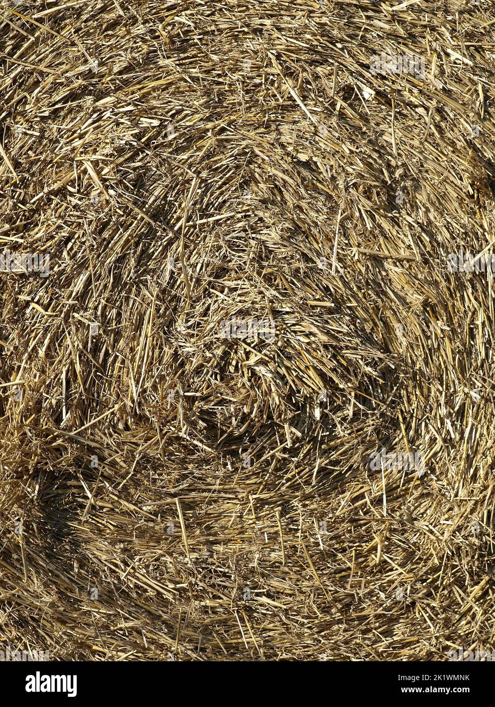 A vertical closeup shot of a straw bale Stock Photo - Alamy