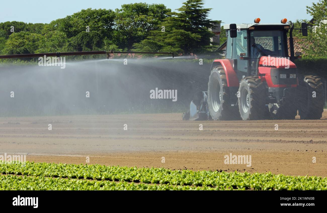 tractor with large wheels on the cultivated field for sowing and ...