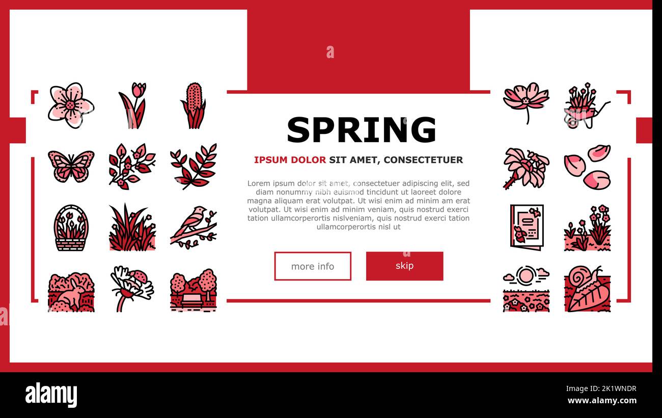 spring season flower nature landing header vector Stock Vector Image ...