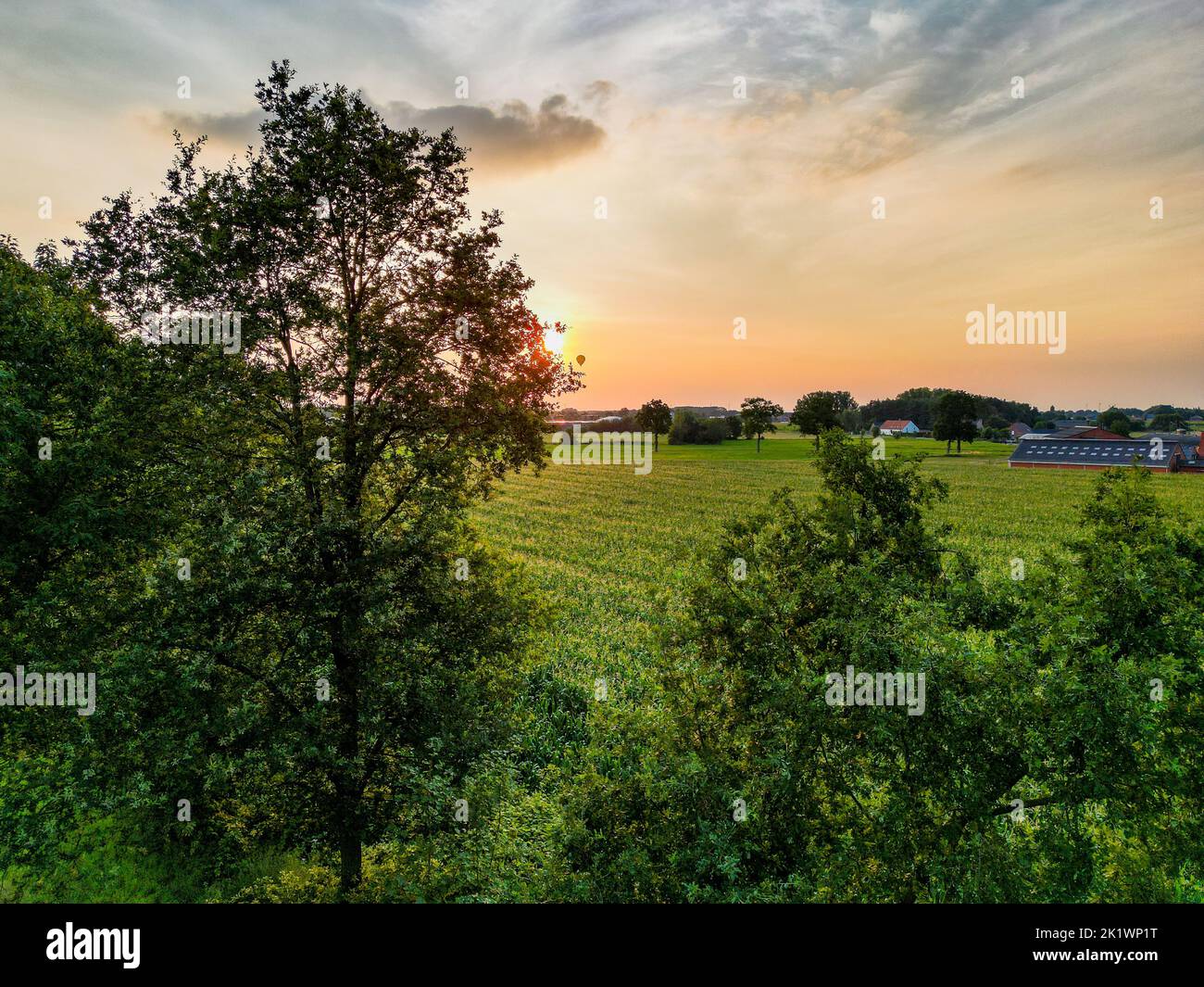 Aerial Drone Shot of a beautiful Green and Yellow Agricultural ...