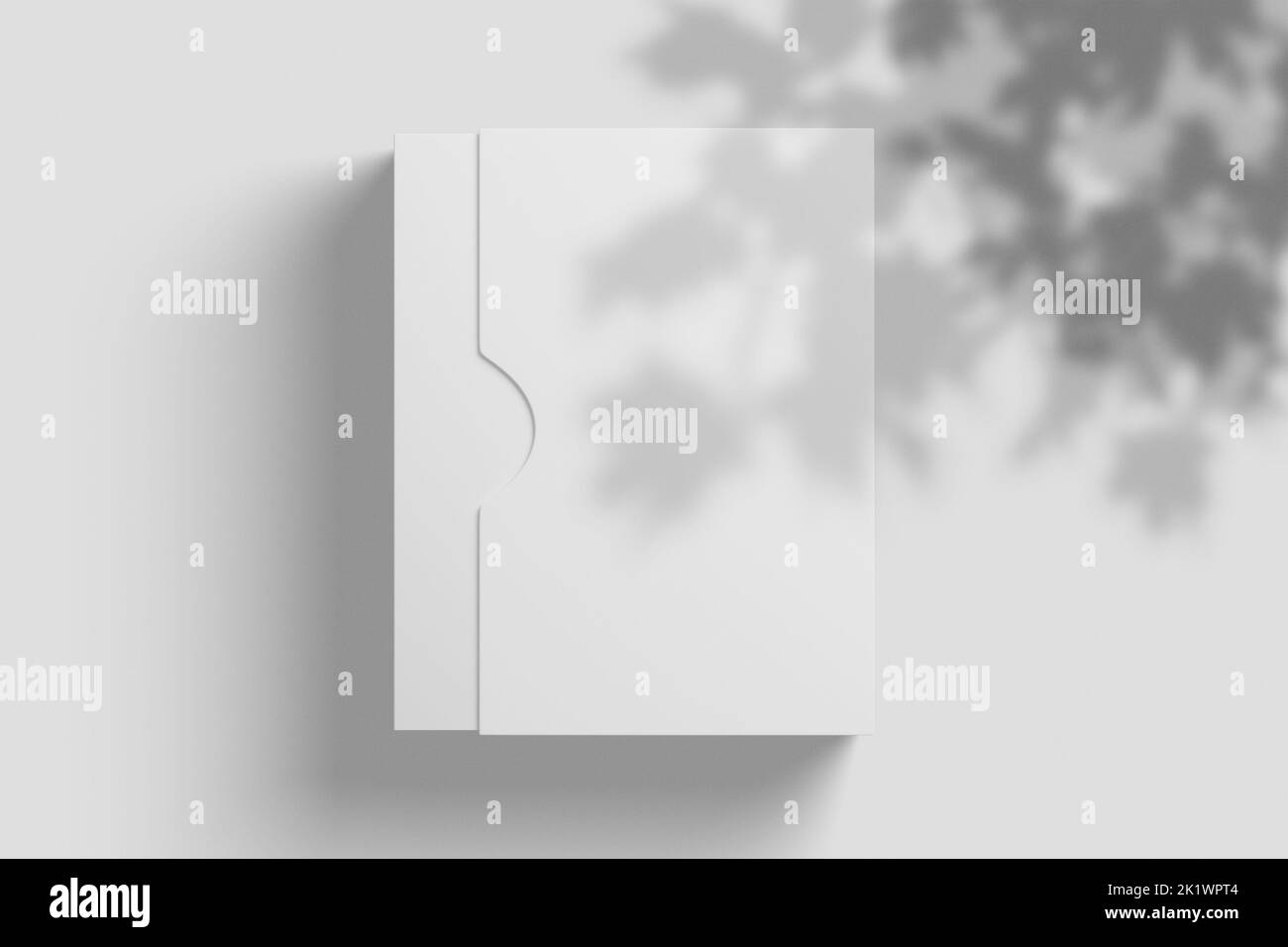 Slip case blank hi-res stock photography and images - Alamy