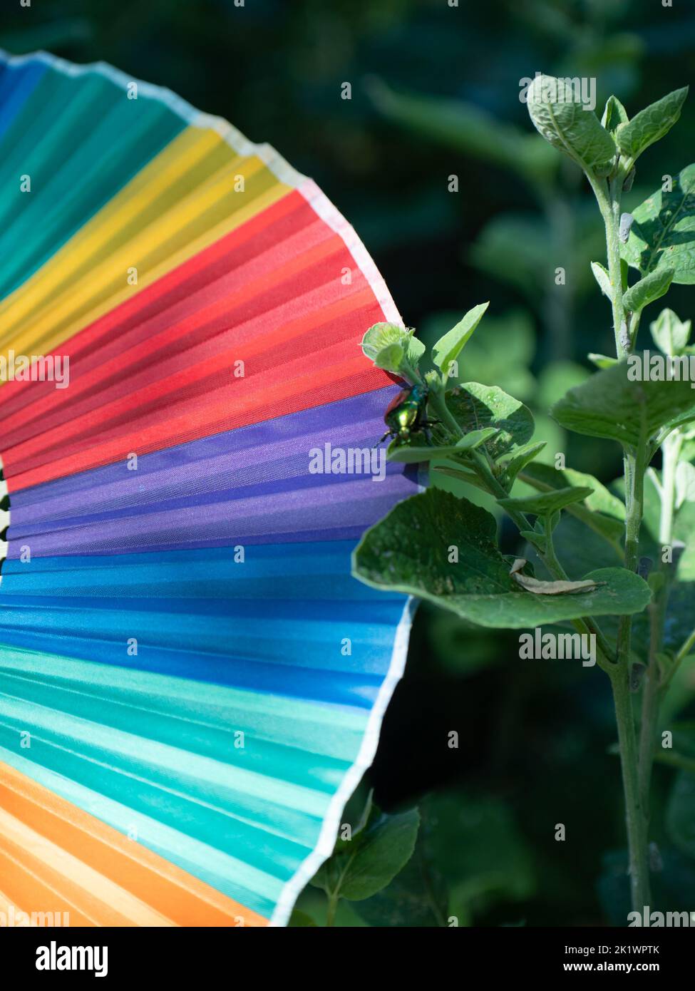 Next fan hi-res stock photography and images - Alamy