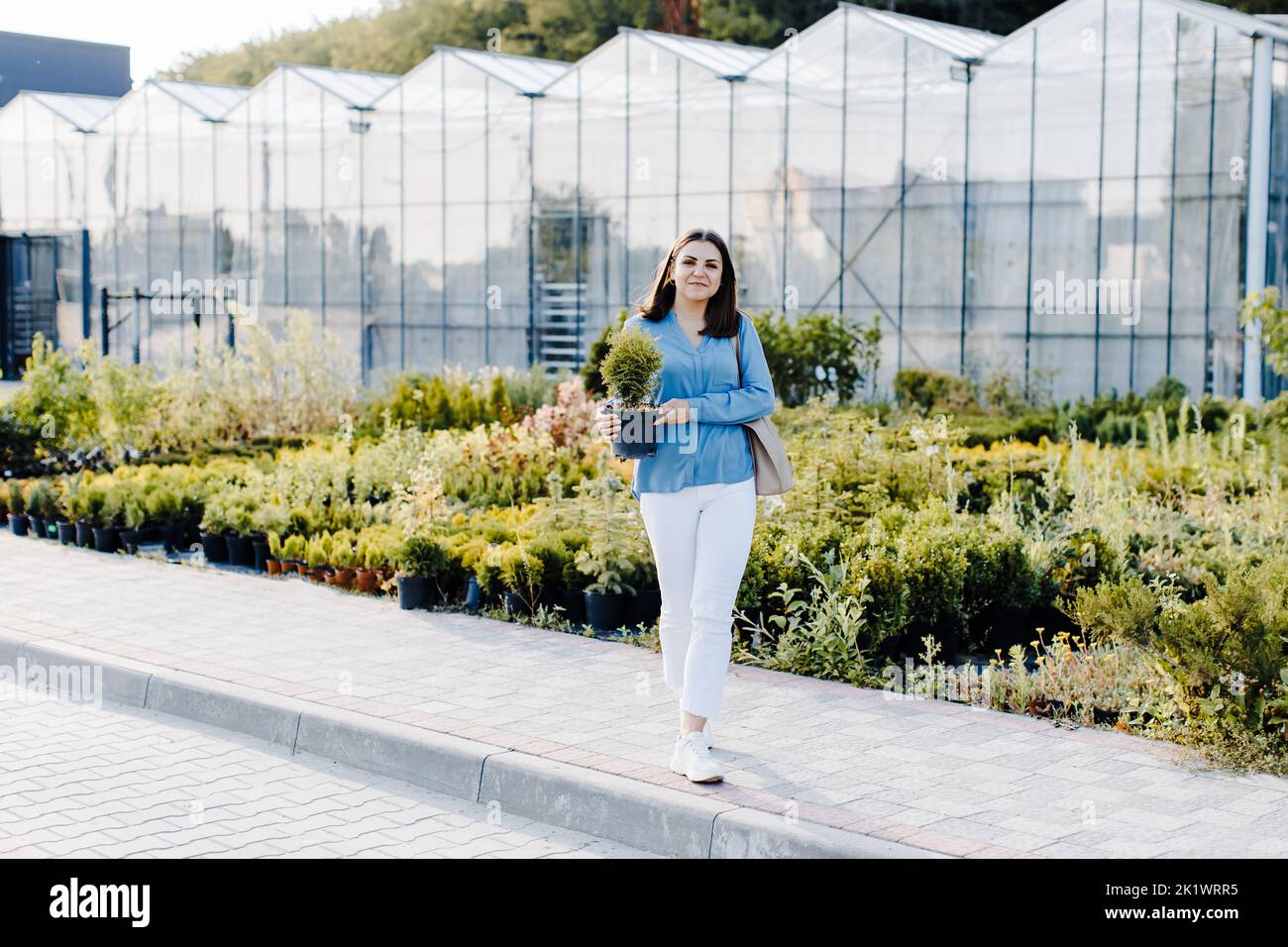 A young woman stands outside a plant shop and chooses a pot with a ...
