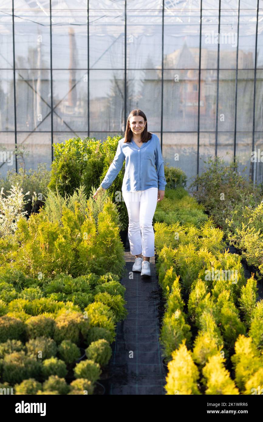 A young woman stands in a large greenhouse and chooses a pot with a ...