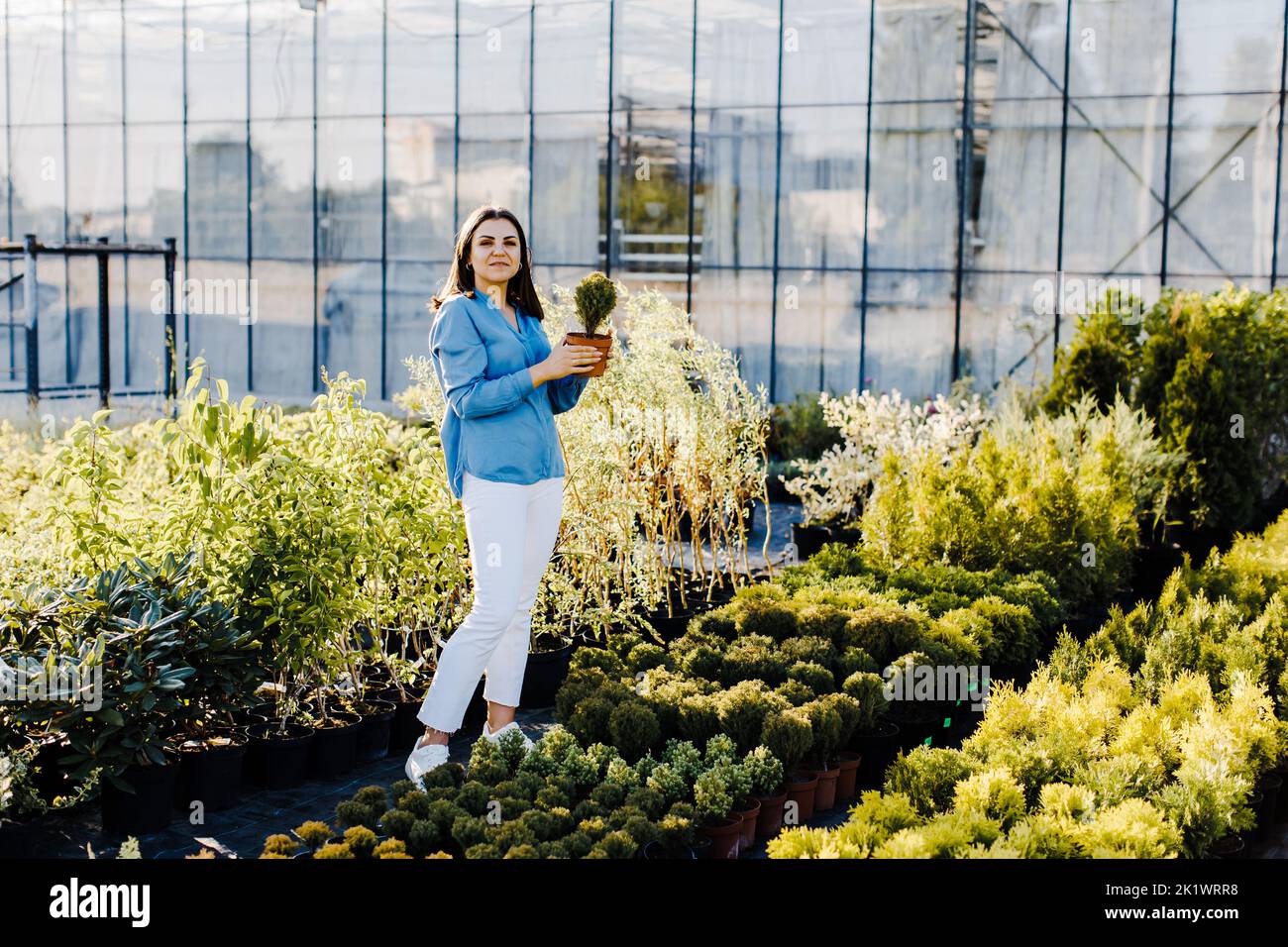 A young woman stands outside a plant shop and chooses a pot with a ...