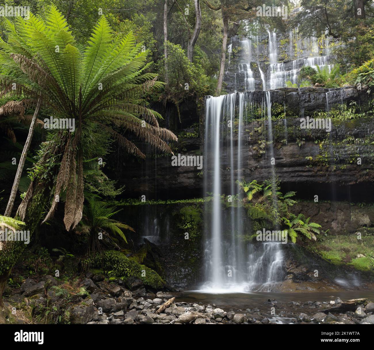 front view of summer flow on russell falls at mt field national park in ...