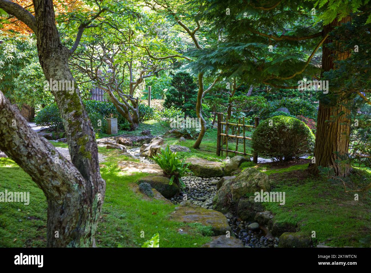 Beautiful traditional japanese garden in summer. Zen background Stock ...