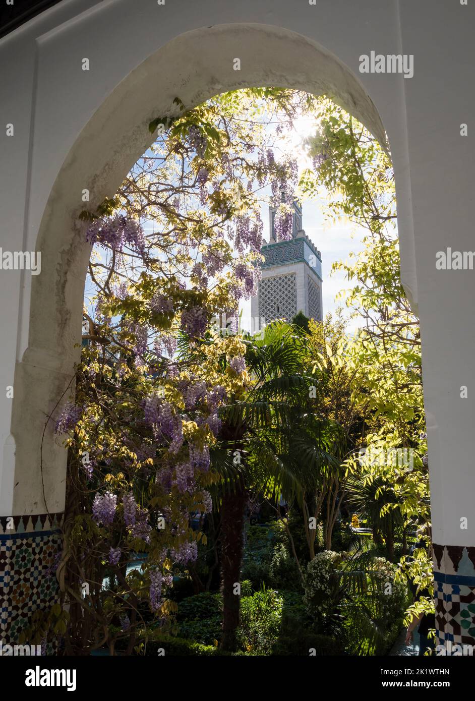 Courtyard of the Grand Mosque of Paris, one of the largest mosques in ...