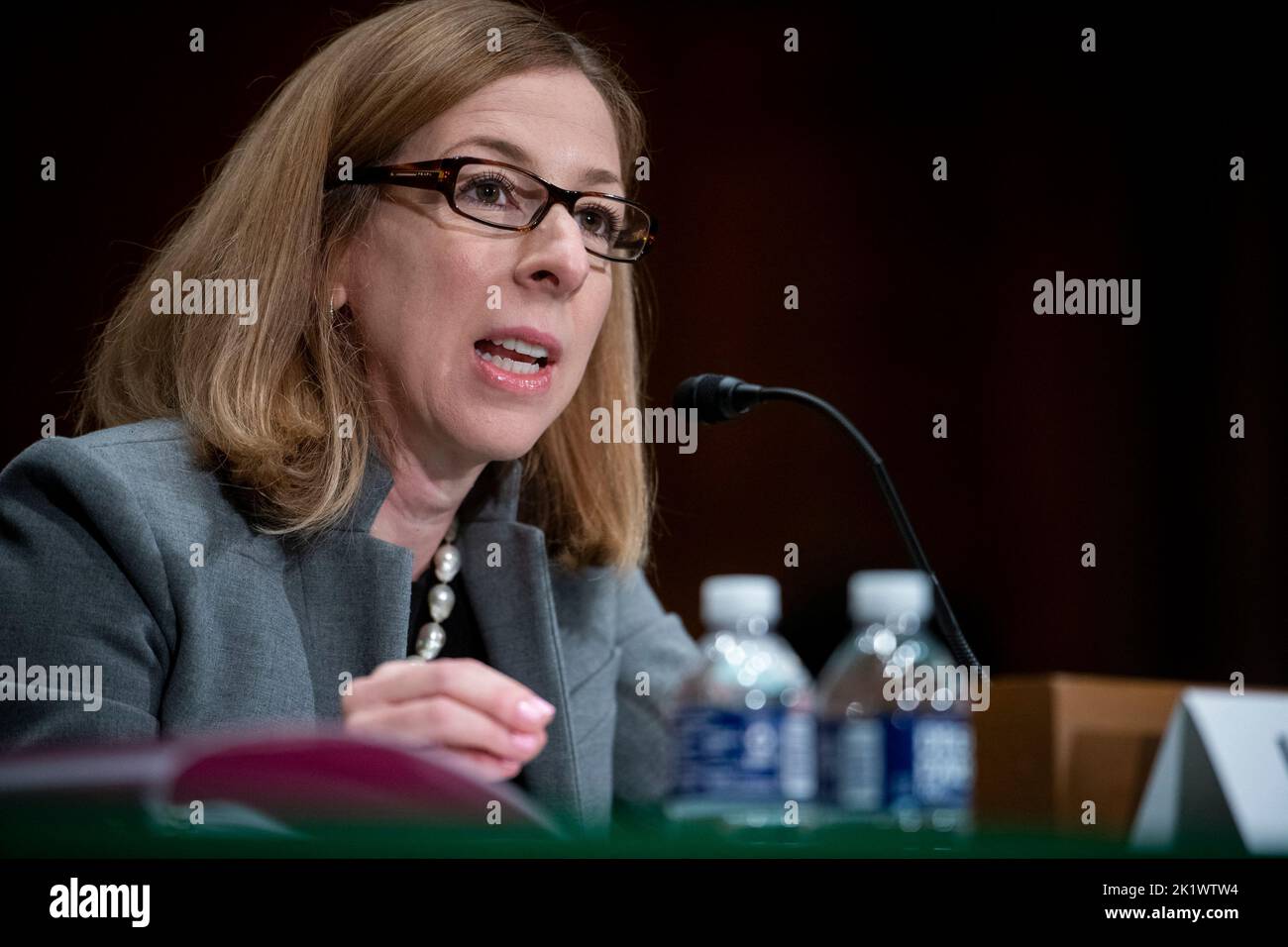 Elizabeth Rosenberg, Assistant Secretary for Terrorist Financing And ...