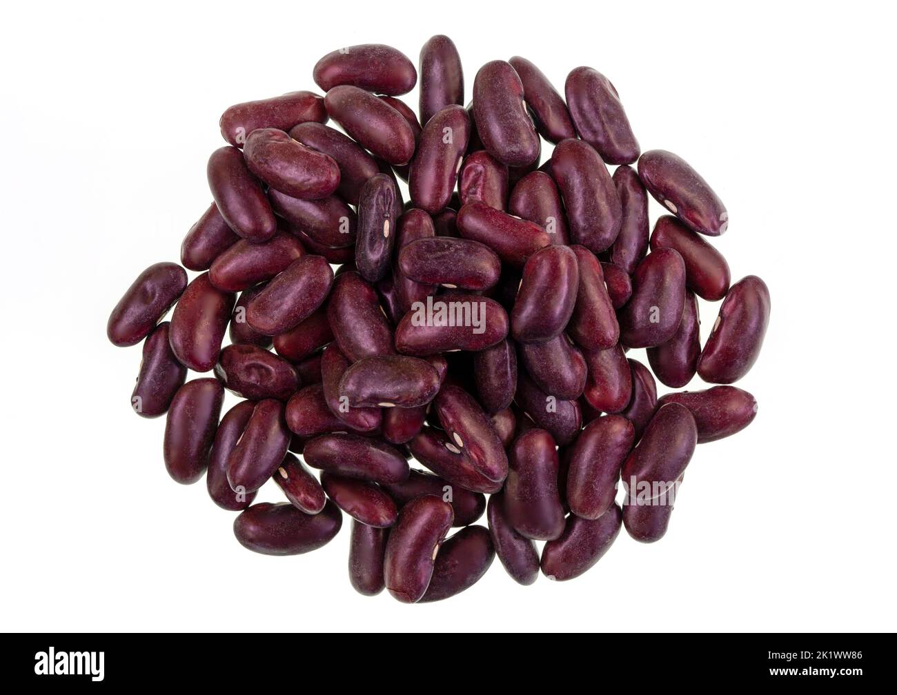 Pulses are edible seeds of leguminous plants such as peas, beans ...