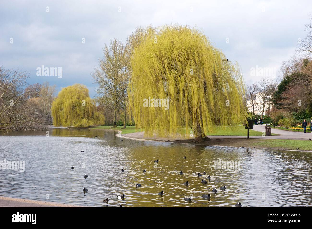 Nature's Palette: Tranquil London Landscape with Autumnal Trees by ...