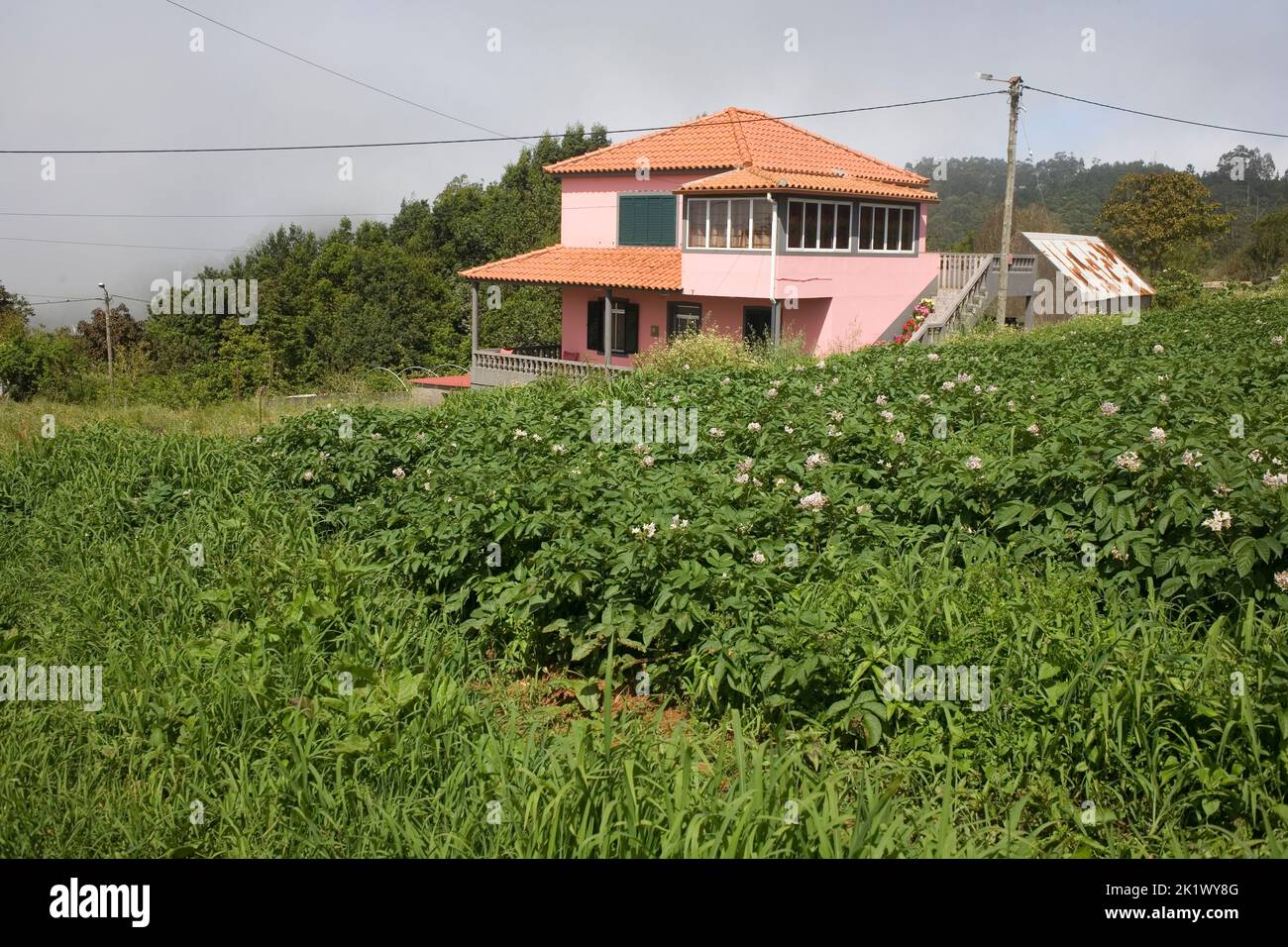 Lombo do curral hi-res stock photography and images - Alamy