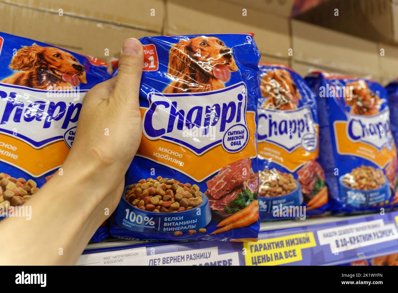 Tyumen, Russia-June 30, 2022: Dog food chappi ready for sale at the ...