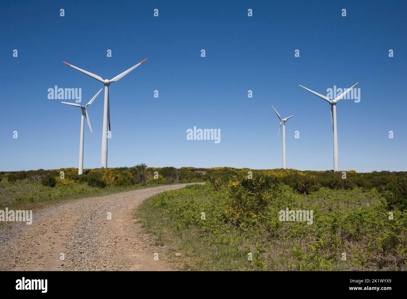 Two pairs of wind turbines on the wind farm at Cerca do Paul in Paul da ...
