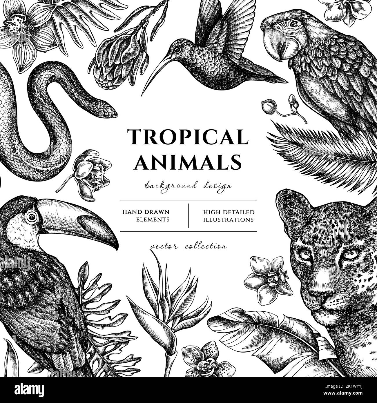 Tropical animals hand drawn illustration design. Background with sketch ...
