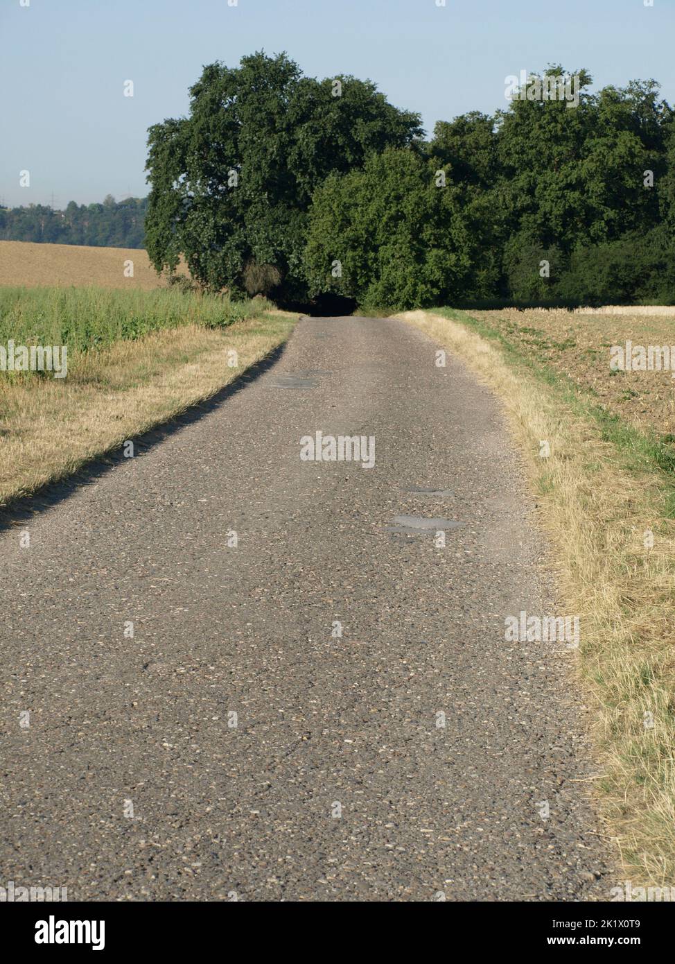 A vertical shot of a small empty country road leading to a forest with ...